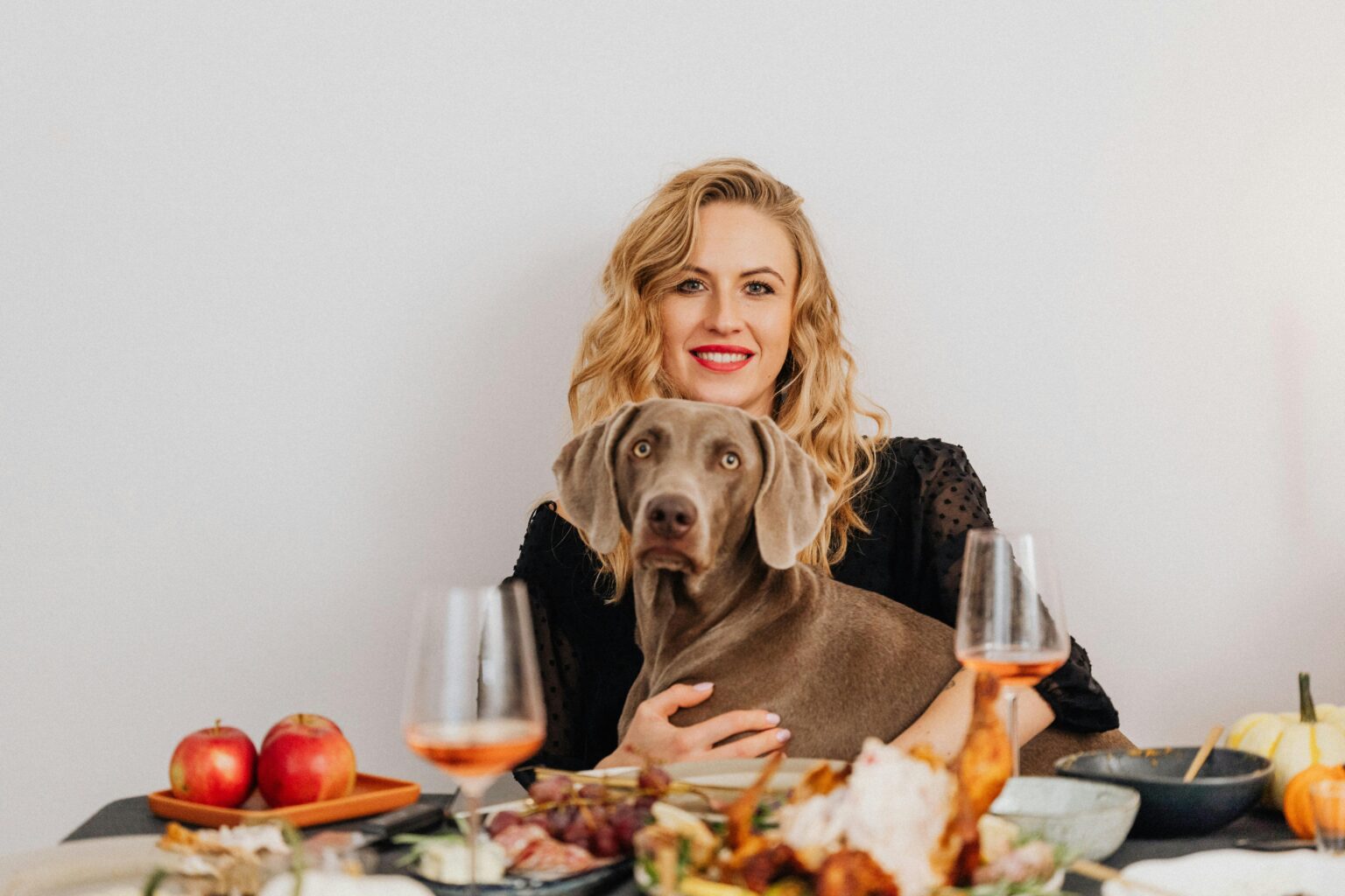 Thanksgiving Dog Safety Tips | Gourmet Pet Chef